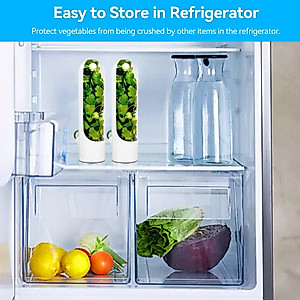 Fresh Herb Keeper for Refrigerator, 2PCS Cilantro Fresh Container Herb Savor Pod Herb Keeper and Herb Saver Fruit Containers Transparent Vegetable Preservation Bottle Kitchen Storage Cup for Cilantr