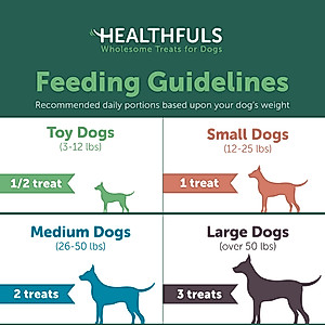 WESTMINSTER PET PRODUCTS Healthfuls Chicken Wrapped Fruit Treats, 3.5 oz - Dried Apple, Kiwi, and Banana Wrapped in Premium Chicken Filet - Healthy, Protein Rich Treats for Dogs