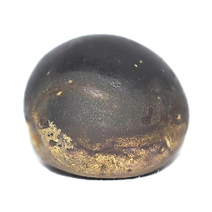 Rare Pitambara Shaligram - Gandaki River Nepal