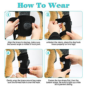 Domagiker Rear Leg Hock Brace, Dog Knee Brace with Metal Strips, Hock & Ankle Support Back Leg for Canine Torn, Dog Leg Sleeve for ACL & CCL Injury and Sprain Protection (Black, Medium(one Pair))