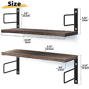 Eifiwot Floating Shelves Wall Mounted Set of 2, Wall Shelf Storage for Office, Bathroom, Living Room, Bedroom, Kitchen, Dark Carbonized Black Shelves for Wall Decor
