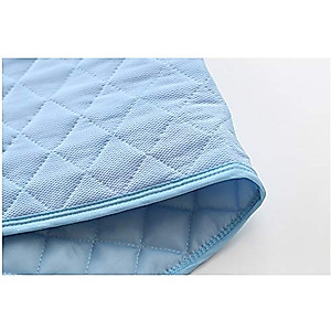 AGradify Large Ice Silk Cool Pet Bed Sofa Cushion Suitable for All Pets Puppy Mat Summer Dog Mat Ice Mat Pet Supplies (Color : L, Size : S)