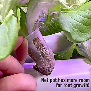 WEPLANT Hydroponic NFT 36 Holes Growing System with Special Fertilizer Timing Cycle, PVC Pipe Garden Plant Kit