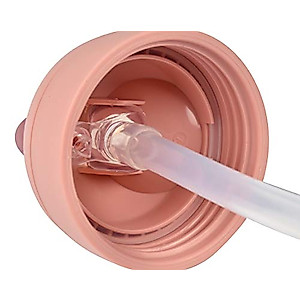 Beaba Straw Sippy Cup, Sippy Cup with Removable Handles, Sippy Cup with Straw, Baby Straw Cup, Toddler Cup, Toddler Straw Cups, 8+ months, 10 oz, Rose