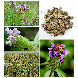 Dried Whole Self Heal Herbs, Natual Pure Self Heal, 2.0oz