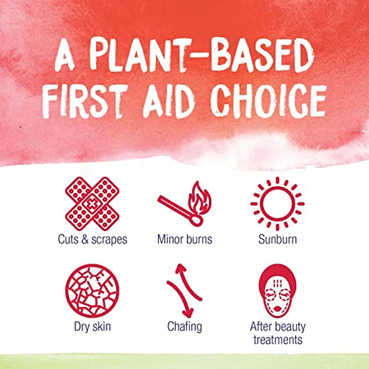 Boiron Calendula Cream for Relief from Rashes, Skin Irritations, Razor Burn, Insect Bites, or Sunburns - Non-Greasy and Fragrance-Free - 2.5 oz