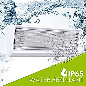 Leisure LED RV Exterior Porch Utility Light XL 12v 650 Lumen Lighting Fixture. Replacement Lighting for RVs, Trailers, Campers, 5th Wheels White Base Clear Lens (White, 1-Pack)