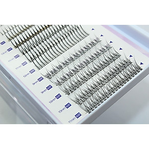 Saibinuo 240pcs Mixed Pack C Curl False Eyelash Extension Individual Lashes Lower Bottom Lash (5-6mm) Fairy Style A Shape (10-12mm) Fish Tail (9-11mm) Natural Clusters, 240 Count (Pack of 1).