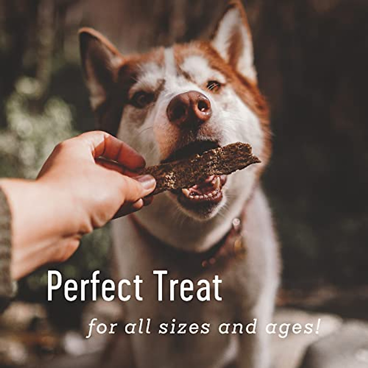 Farm Hounds Premium Natural Duck Treats for Dogs, 100% Made from Humanely-Raised Ducks, No Fillers Added, Nutrient-Rich Duck Jerky Dog Treats, Healthy Delicious Dog Strips, Made in USA