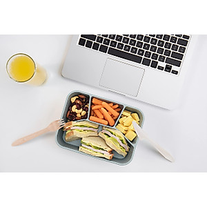 VitalityEXO Eco Friendly 4 Compartment Silicone Lunch Box for Adults and Kids Microwave Dishwasher and Freezer Safe with Separate Compartments Leakproof BPA-Free PVC-Free Bento Box (GREY)