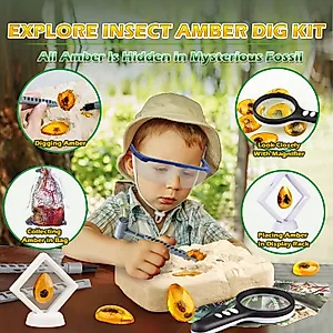Amber Dig Kit - Insects in Resin, 8 Insects Specimens Excavation Kit, Geographic Bug Toys for Kids, Educational Science Kits for Bugs Collection, STEM Toys for Boys & Girls Age 6 and up Birthday Gift