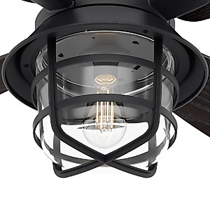 Hunter Fan Company 50391 Hunter Port Royale Ceiling Fan with LED Light and Remote Control, Natural Iron Finish, 52