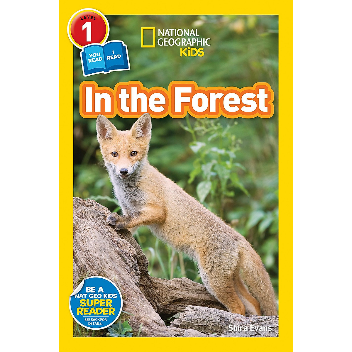 In the Forest (National Geographic Kids Readers, Level 1/Co-Reader)