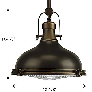 Progress Lighting P5188-108 Fresnel Lens Pendants, Bronze