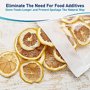 OxyFree Oxygen Absorbers for Mylar Bags or Vacuum Sealer Bag Food Storage (300cc - Qty 50)