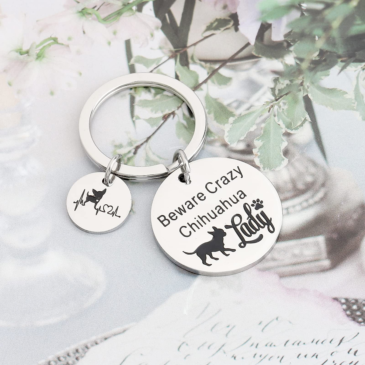 MYOSPARK Chihuahua Dog Lover Gift Beware Crazy Chihuahua Lady Keychain Chihuahua Jewelry Gift for Pet Owners (Chihuahua KC)