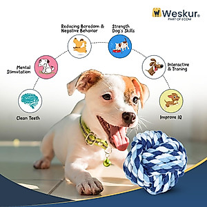 25-Pack Premium+ Dog Chew Toys for Puppies - Teething Chew Toys for Boredom, Pet Toothbrush Chew Toys with Rope, Treat Balls, and Squeaky Toys for Small to Medium Dog