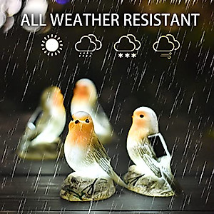 JeeYee 2 Pack Cute Robin Bird Solar Light Solar Powered Resin Outdoor Garden Decor Statue with LED Light for Patio Lawn Yard Path Decoration
