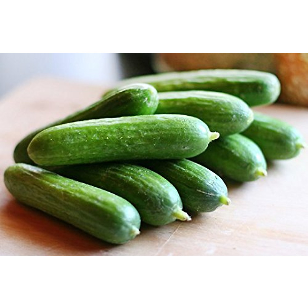 US Grown! 30+ Persian Beit Alpha (a.k.a. Lebanese) Cucumber Seeds Heirloom Non-GMO Burpless Sweet Non-Bitter and Acid Free, Crispy and Sweet, Fragrant and Delicious, Cucumis sativus, Grown in USA!