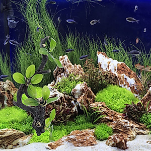 Simulation Resin Reptile Tank Accessories Resin Crafts Tree Parts Decor Reptile Accessories for Habitat Fish Tank Charms Reptile Decorations Aquarium Supplies Reptile Tank Decor