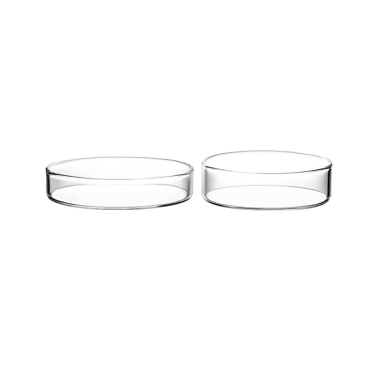 QWORK Glass Petri Dish Petri Plates with Lid, Thicken, 60mm x 18mm, 5 Pack