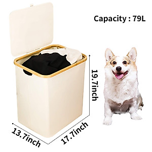 Laundry Hamper with Wheels, Collapsible Laundry Baskets with Dual Handles - Dirty Clothes Hamper for Bedroom, Dorm Laundry Basket