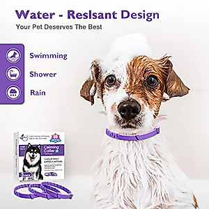 Dogs Calming Pheromones Collar 3 Packs Lasts 60 Days Relieve Reduce Anxiety or Stress 25 Inches Adjustable Relaxing Comfortable Collar Breakaway Design for All Small Medium and Large Dog