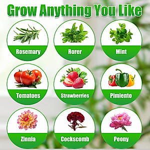 Haovegfloer 30 PCS Grow Sponges, Seed Starter Pods Replacement Root Growth Sponges, Seed Pods Kit for Partly QYO, LYKO, Idoo Hydroponic Garden System(Square