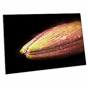 3dRose Day Lilly Bloom Closeup - Desk Pad Place Mats (dpd-336443-1)