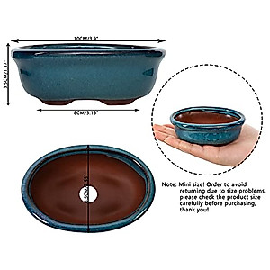 lychee Chinese Bonsai Pot Oval Glazed Flower Pot Planter Home Garden Decor