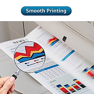 Transpex Finkbst Compatible Ink Bottle Replacement for 542 T542 EcoTank Ink Used for EcoTank Pro ET 5800 ET 5850 ET 5880 ET 16600 ET 16650 ET-5800 ET-5850 ET-5880 ET-16600 ET-16650 Printers