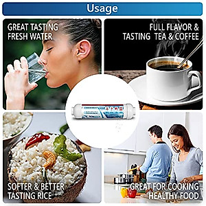 10-inch Universal Alkaline in-line Water Replacement Filter - PH Enhancer, and Re-Mineralizer – Post Filter for Under-Sink or Reverse Osmosis System - Restore Essential Minerals Set of 3