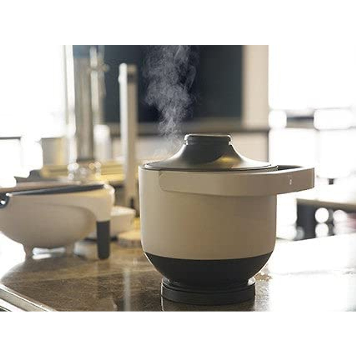 DesignNest PowerCooker Multi-cooker, Steamer, Auto Warmer, Fast Cooking, Portable Pot, Detachable Heating Base, 5 Cooking Models, Touch Control Panel, Soup, Rice, Stews, Oatmeal & Yogurt, White