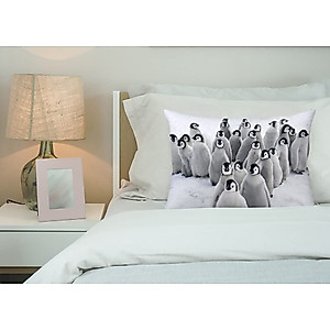 Yekiua Funny Penguin Throw Pillow Covers Antarctic Snow Cold Cute Animal Pillowcase Pillow Shams Cushion Case Single Side Printing 20X26 Inches Standard Size