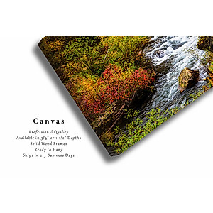Black Hills Canvas Wall Art (Ready to Hang) Gallery Wrap of Fall Foliage Surrounding Creek on Autumn Day in Spearfish Canyon South Dakota Western Photography Nature Decor (.75, 24" x 36")