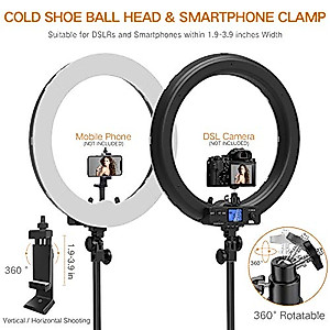 Ring Light, 19" Bi-Color LCD Display Ring Light with Stand, 55W 3000-5800K CRI≥97 Light Ring for Vlogging Selfie-Portrait Live Stream Video Photography Shooting