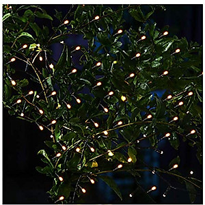 LED Christmas Tree Lights Outdoor/Indoor,Fairy Lights with 8 Lighting Modes,Warm White Twinkle Lights for Garden,String Lights for Bedroom,Led Light Strips,Halloween Lights Outdoor (100 LEDs)