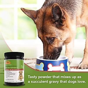 WellyTails Glucosamine Chondroitin MSM Turmeric Dog Joint Supplement for Large Dogs 12.2 oz. (60 Scoops)