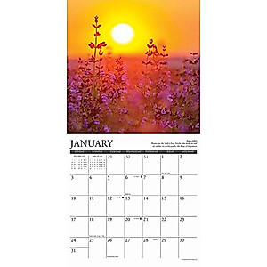 Psalms 2021 Wall Calendar