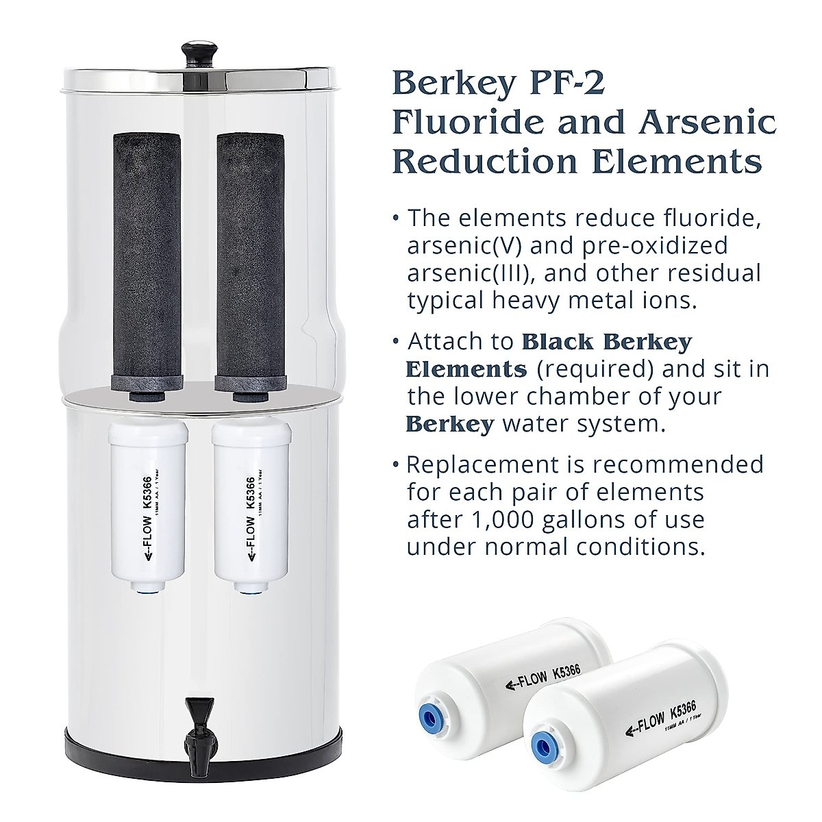 Set of 2 Berkey Authentic Black Berkey Elements (BB9-2) and 2 Berkey PF-2 Fluoride and Arsenic Reduction Elements - Combo Pack