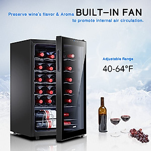 STAIGIS 24 Bottle Compressor Wine Cooler Refrigerator, Small Freestanding Wine Fridge for Red, White and Champagne, Mini Fridge with 40-66F Digital Temperature Control Glass Door