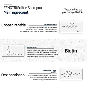 ZENOTRI Follicle Shampoo Hair loss Zero with Copper peptide, Biotin, Dexpanthenol, Pyrithione Zinc/Genetic Hair Care Solution