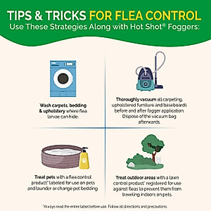 Hot Shot Fogger With Odor Neutralizer, Kills Roaches, Ants, Spiders & Fleas, Controls Heavy Infestations, 3 Count, 2 Ounce Pack of 2