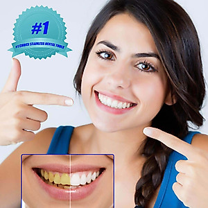 3Pcs Dental Tools, 100% Surgical 304 Stainless Steel Dental Pick, Professional Teeth Cleaning Kit for Home Use, Tartar Plaque Remover for Teeth Dentist Tools, Dental Scaler- with Traveling Case