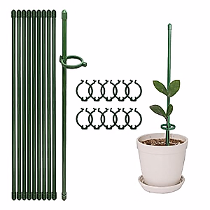 12 Inch Plant Support Stakes, with Adjustable Retaining Ring Green Plant Sticks Support Stakes for Indoor and Outdoor Plants,Flowers,Climbing(10Pcs)