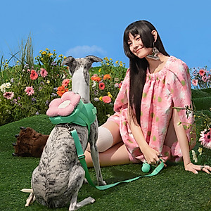 VETRESKA Flora Dog Harness, Leash and Collar Set, No Pull Dog Vest Harness for Walking and Training, Adjustable, Easy Control and Soft Padded Pet Harness and Backpack for Small Medium Large Dogs, S