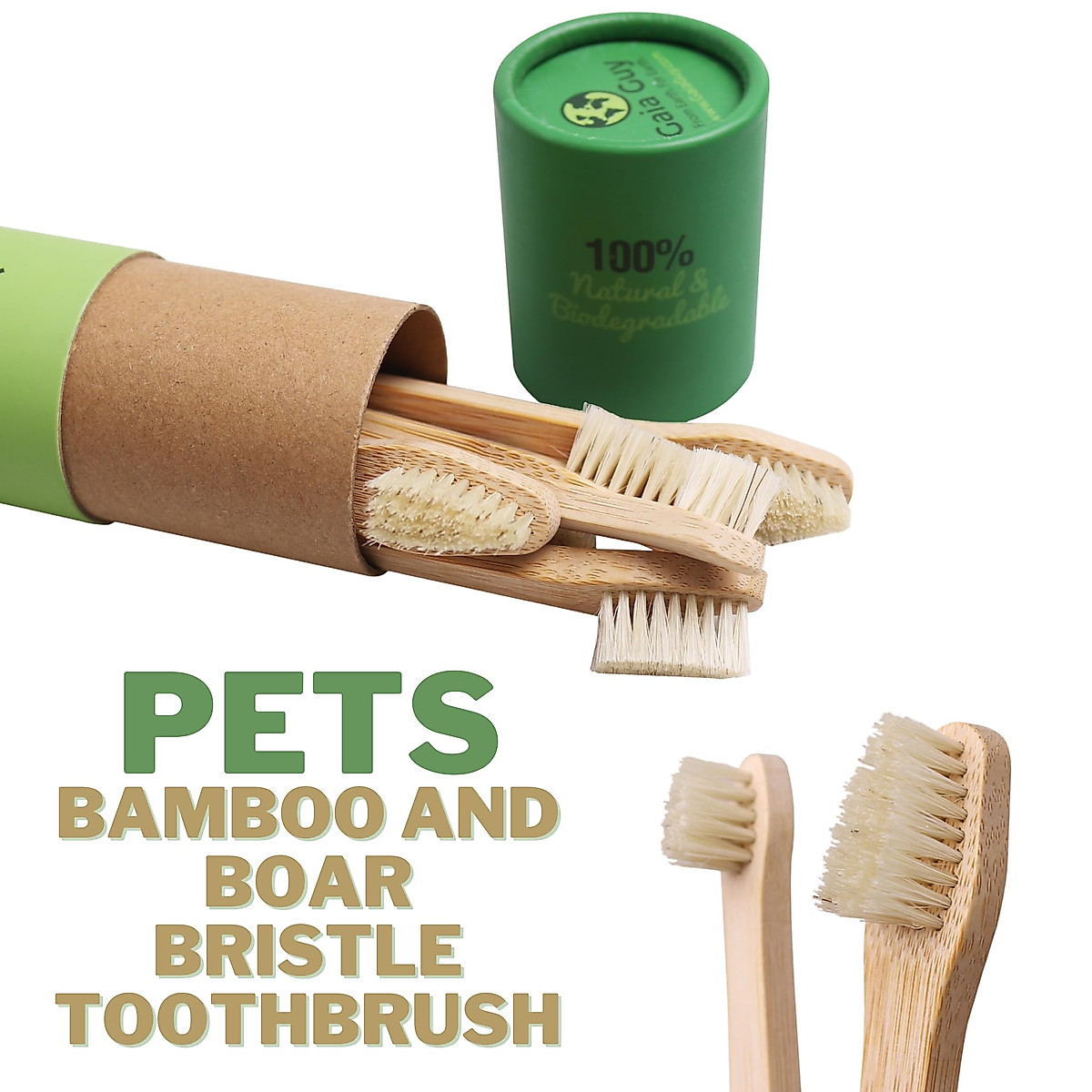 Gaia Guy Bamboo and Boar Bristle Double-Sided Pet Toothbrushes - 6-Pack - for Dogs, Cats and Planet - Plastic-Free and Nylon-Free Natural Bristles - No Microplastics