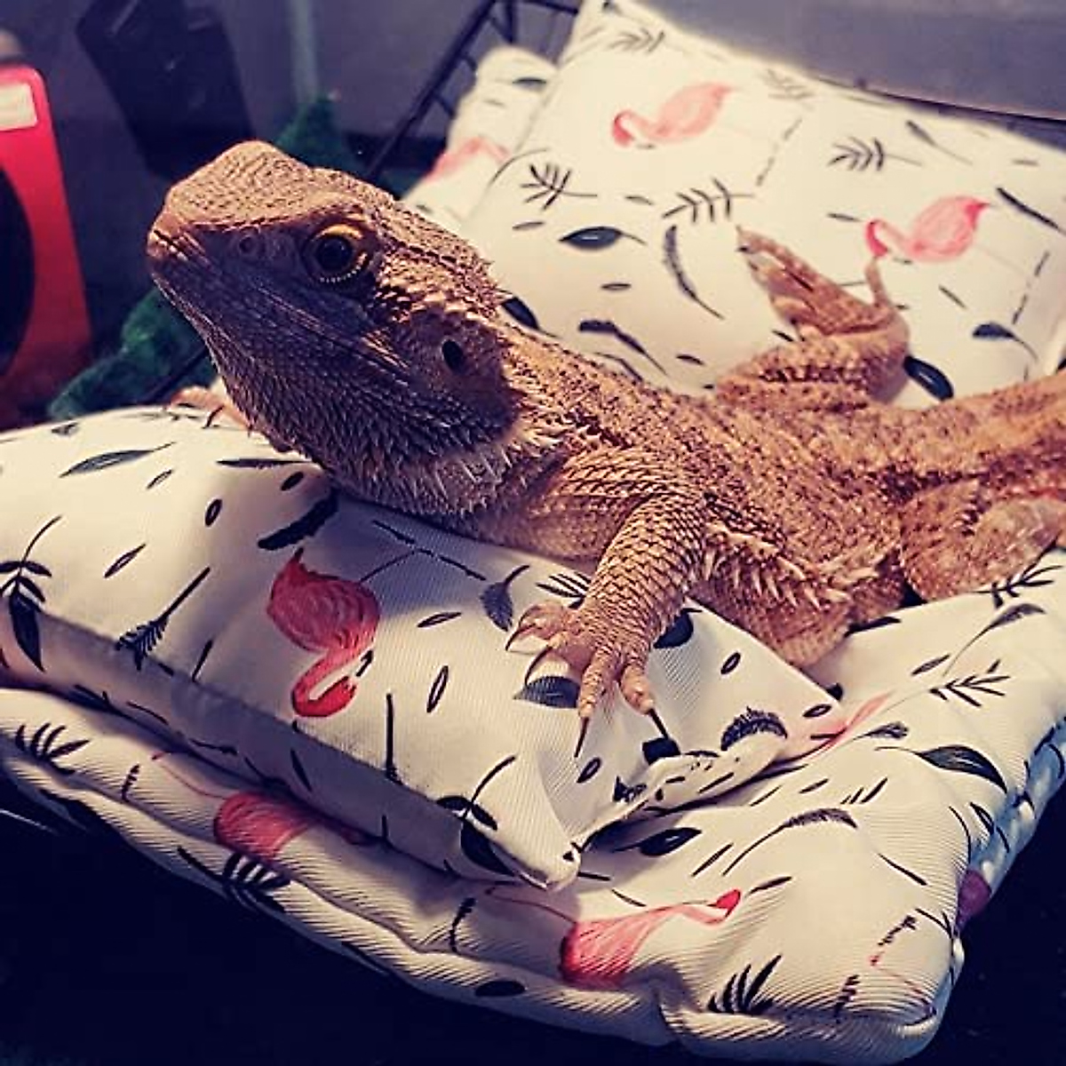 GooWell Bearded Dragon Hammock Lizard Hammock Reptile Bed with Pillow Lizard Habitat Soft and Warm Small Animal Sleeping Bag Set
