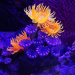 TOPINCN Artificial Coral, Simulation Plant Luminous Silicone Coral Sea Anemone for Fish Tank Landscape Decoration Aquarium Ornaments