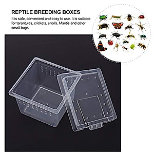 balacoo 100Pcs Reptile Breeding Box Plastic Transparent Feeding Case Hatching Container with Lid for Spider Scorpion Gecko Insect Snake Tortoise